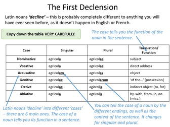 Latin - 1st Declension - All Cases | Teaching Resources