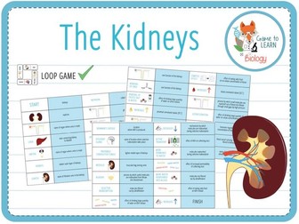 The Kidneys - 15x Activities and Games Bundle (KS4) | Teaching Resources