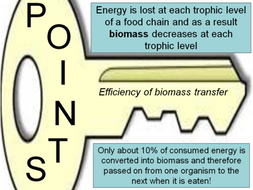 Efficiency of biomass transfer | Teaching Resources