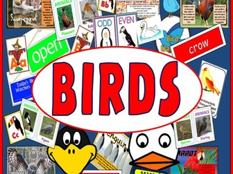 *SCIENCE BUNDLE* HABITATS, NOCTURNAL ANIMALS, RAINFORESTS, BIRDS - KEY ...