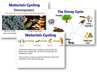 Material Cycling AQA Biology 2016 | Teaching Resources