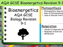 B4 Bioenergetics AQA GCSE Science Biology Revision 9-1 | Teaching Resources