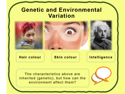 Genetic and environmental variation - KS3 Low Ability | Teaching Resources