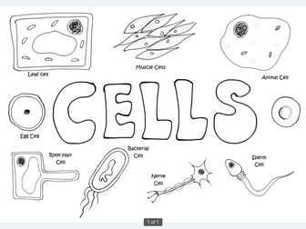 B1 AQA 2016 Cell Biology resource bundle | Teaching Resources