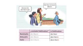 Die N-Deklination (schwache Nomen) | Teaching Resources