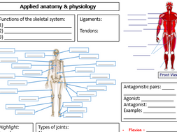Edexcel GCSE PE Revision sheet bundle - All Topics | Teaching Resources