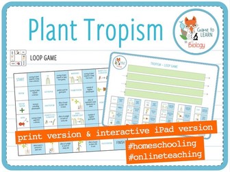 Carbon Cycle - Board Game (KS4) | Teaching Resources