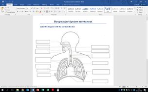 Label the respiratory system (worksheet) | Teaching Resources