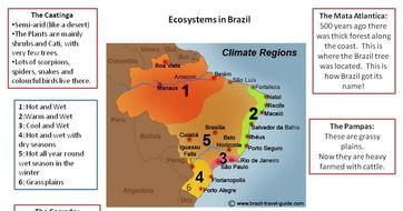 Brazil's Ecosystems | Teaching Resources