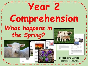Year 2 Reading Comprehension Pack - Seasons | Teaching Resources