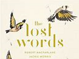 The Lost Words KS1 Literacy planning | Teaching Resources