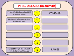 Structure of viruses (AQA A-level Biology) | Teaching Resources