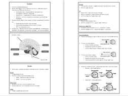 AQA GCSE TRIPLE SCIENCE: BIOLOGY PAPER 2 | Teaching Resources
