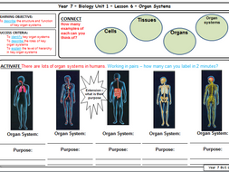 Year 7 - Organ Systems - Mapped to AQA GCSE Biology | Teaching Resources