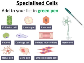 Cell Biology KS3 | Teaching Resources