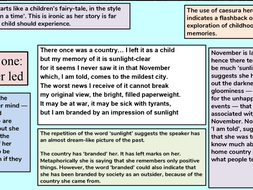 The Emigree by Carol Rumens: Lesson and Annotations | Teaching Resources