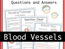 Blood Vessels Activity | Teaching Resources