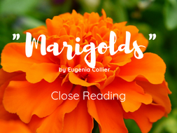 Marigolds by Eugenia Collier - Close Reading | Teaching Resources