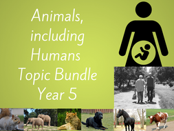 Animals, including Humans Topic Year 5 by amy092 | Teaching Resources