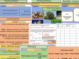 Bioenergetics | Teaching Resources