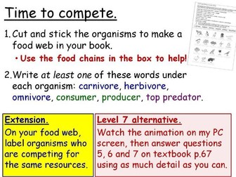 Ecosystems Year 7 Topic- 6 full lessons (KS3 7D) Food Chains | Teaching ...