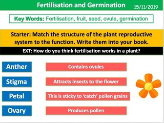 Reproduction (Activate KS3) | Teaching Resources