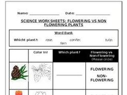 Science worksheets: Flowering vs Non Flowering Plants | Teaching Resources