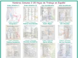 Common Nouns 2 20 Spanish Worksheet Bundle | Teaching Resources