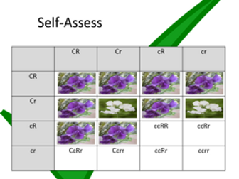 Module 6.2: Patterns of inheritance (OCR A-Level Biology A) by ...
