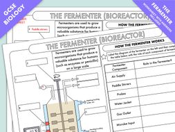 GCSE Biology: The Fermenter Worksheet (Biotechnology) | Teaching Resources