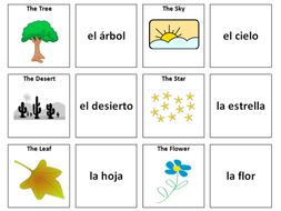 Nature: Spanish Vocabulary Card Sort | Teaching Resources