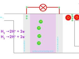 Fuel cell animation | Teaching Resources