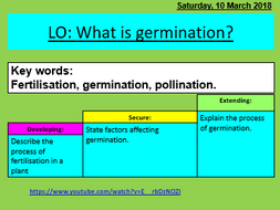 Germination lesson | Teaching Resources