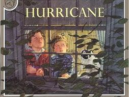Descriptive Poetry (3 1/2 weeks) based on Hurricane by David Wiesner ...