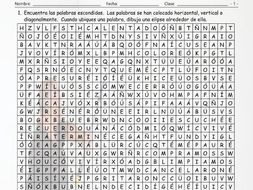 Past Simple Tense with Regular Verbs Spanish Word Search Worksheet ...