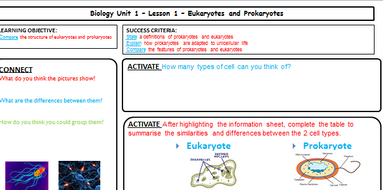 AQA GCSE Biology - Cell Biology - Eukaryotic and Prokaryotic Cells ...