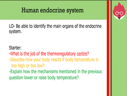 AQA GCSE Biology- Human endocrine system | Teaching Resources