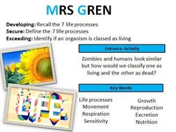 GCSE Biology: MRS GREN (Lesson 1) | Teaching Resources