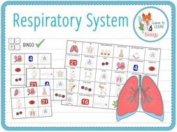 Respiratory System - Bingo (KS3/4) | Teaching Resources