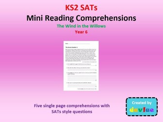 Mini Reading Comprehensions Bundle with Questions Similar to 2016/2017 ...