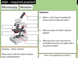 AQA Biology required practical - microscopy | Teaching Resources