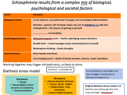 Interactionist Approach to Schizophrenia | Teaching Resources