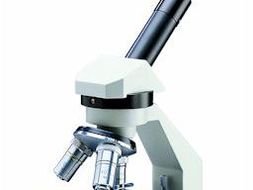 Microscope unit conversions | Teaching Resources