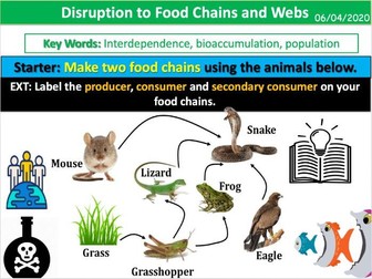 Ecology (Activate KS3) | Teaching Resources