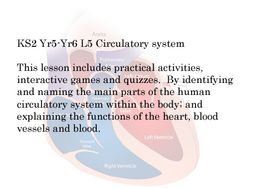 KS2 Science Circulatory system by nikkimarsh | Teaching Resources