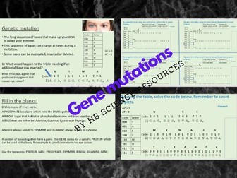 Meiosis DNA and Variation topic | Teaching Resources