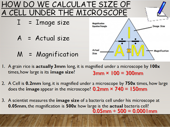 KS4 B1 Cell Structure and Transport | Teaching Resources