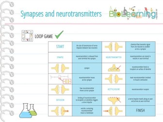 Nervous system - 8x Games and Activities (KS3/KS4) | Teaching Resources