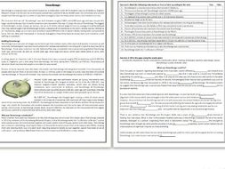 Stonehenge - Reading Comprehension Worksheet / Text | Teaching Resources