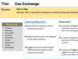 KS3 Gas Exchange | Teaching Resources
